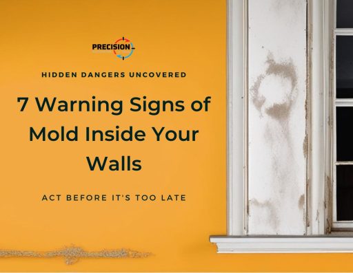 How to Know If There’s Mold Growing in Your Walls